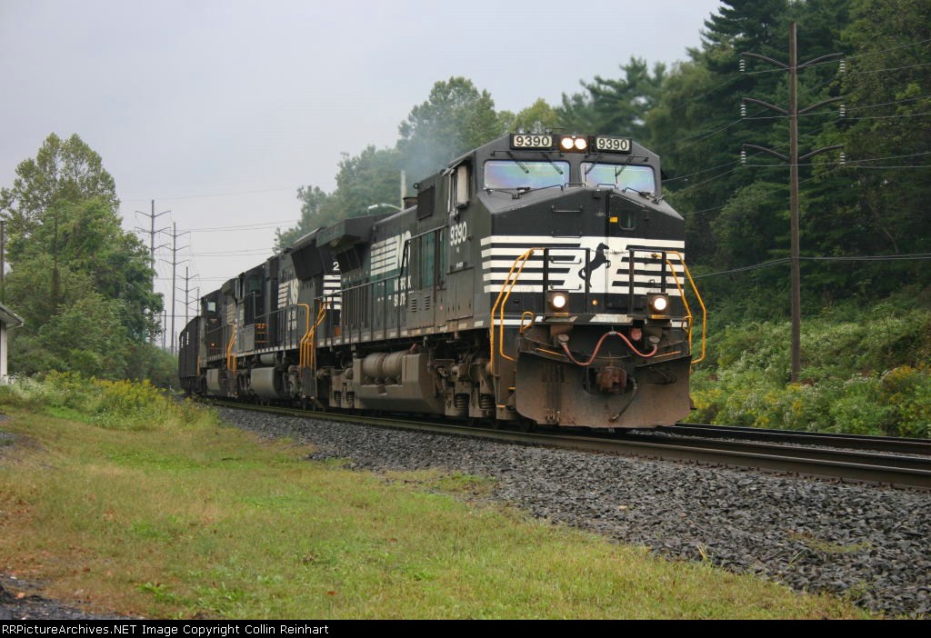 NS 9390